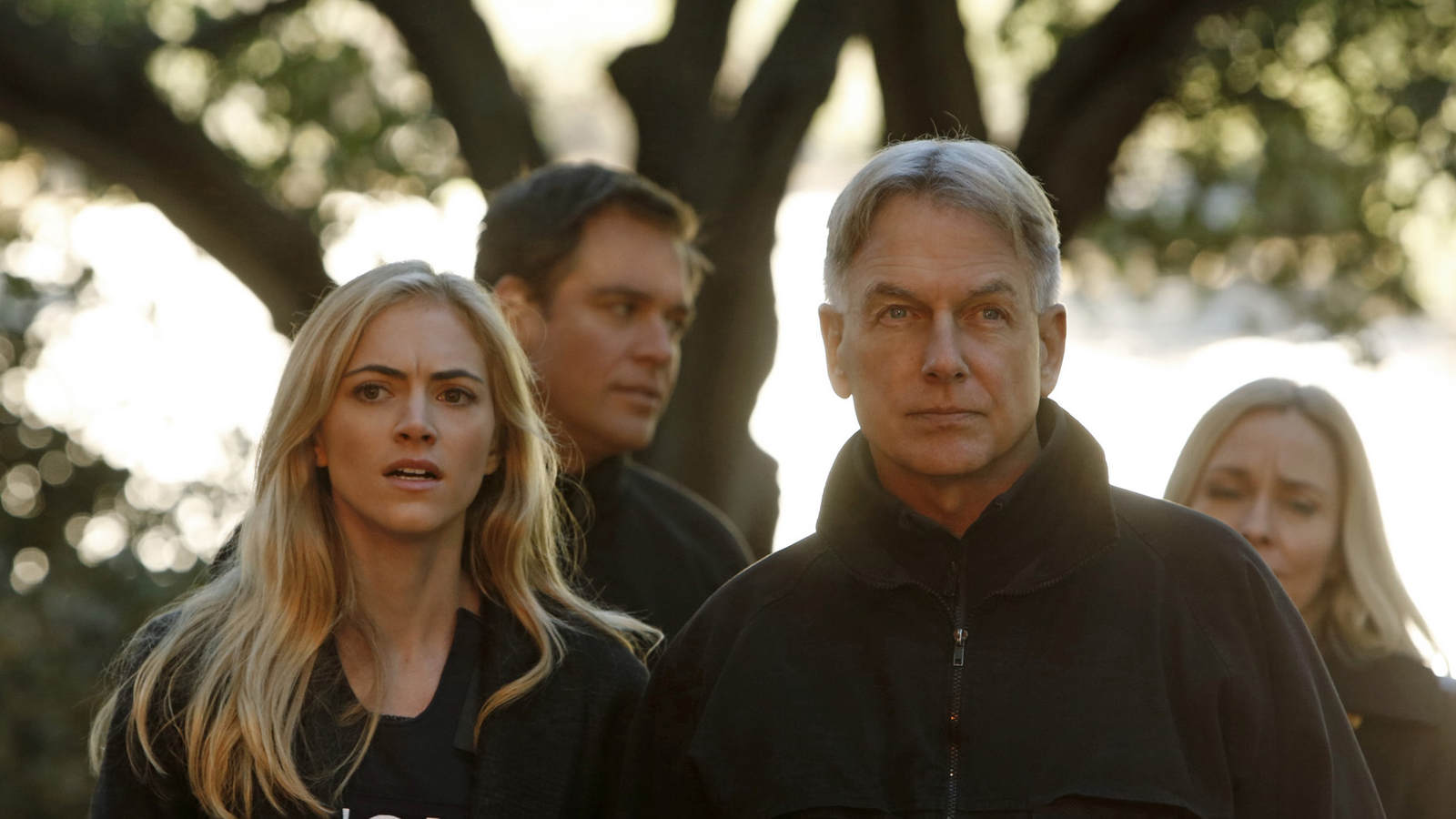 TV Hit 'NCIS' Shines a Positive Light on the Military · United Service ...